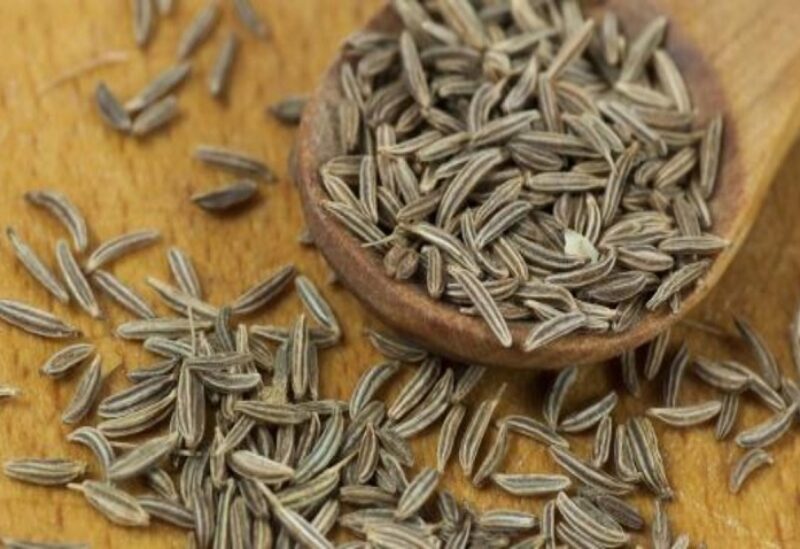 بذور الكراوية مخزّنة بالفوائد الصحية.. تعرّفوا اليها!